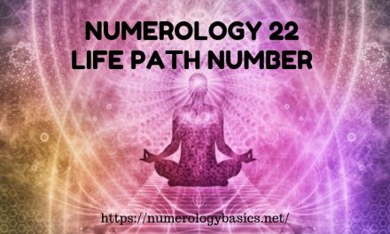 Life Path Number: Numerology Calculator & Meaning - Numerology Basics