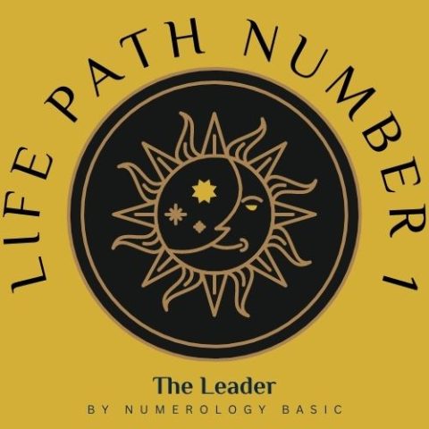 Empower Your Future: Life Path Calculator - Numerology Basics